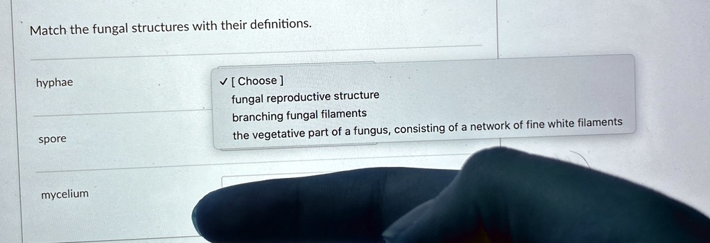 Match the fungal structures with their definitions. hyphae spore ...