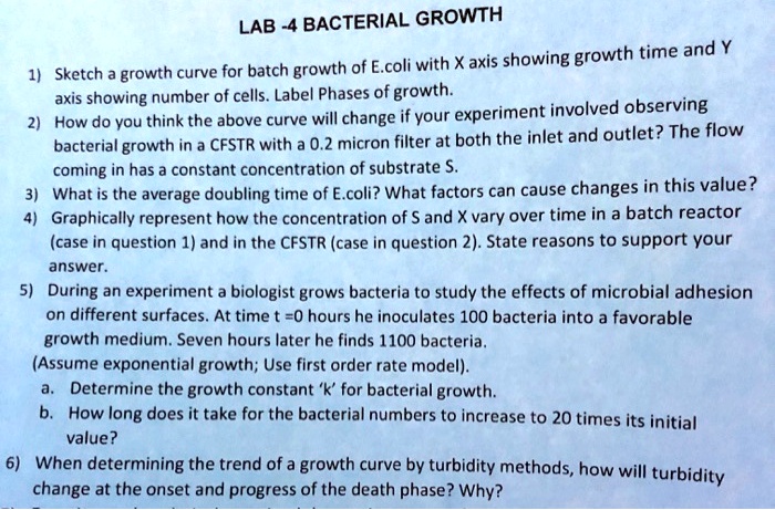 SOLVED: Lab Bacterial Growth: Examining Growth Time and Sketching a ...