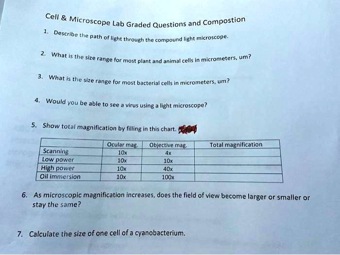 SOLVED: Cell Microscope Lab Graded Questions and Composition Describe ...