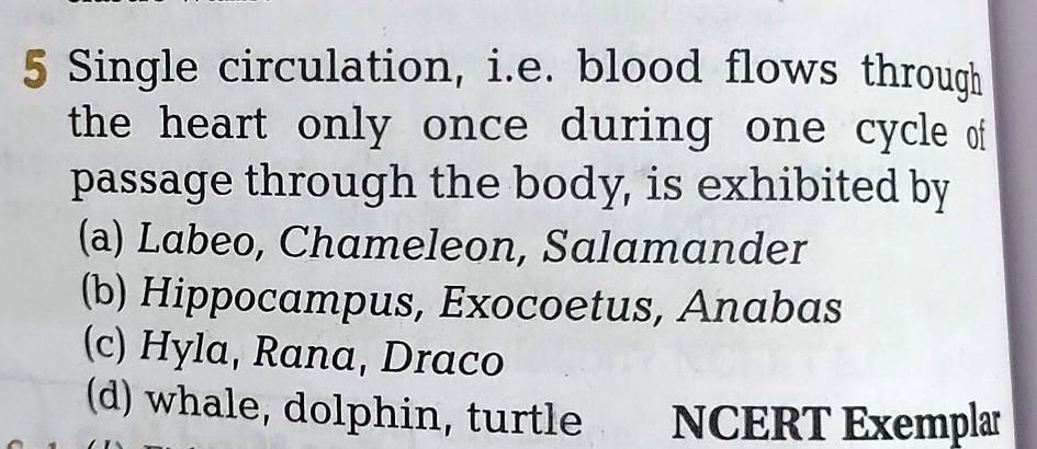 SOLVED: 'Answer the question 5 Single circulation, i.e. blood flows ...