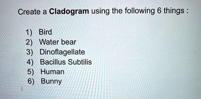 SOLVED: Create a Cladogram using the following 6 things 1) Bird 2 ...