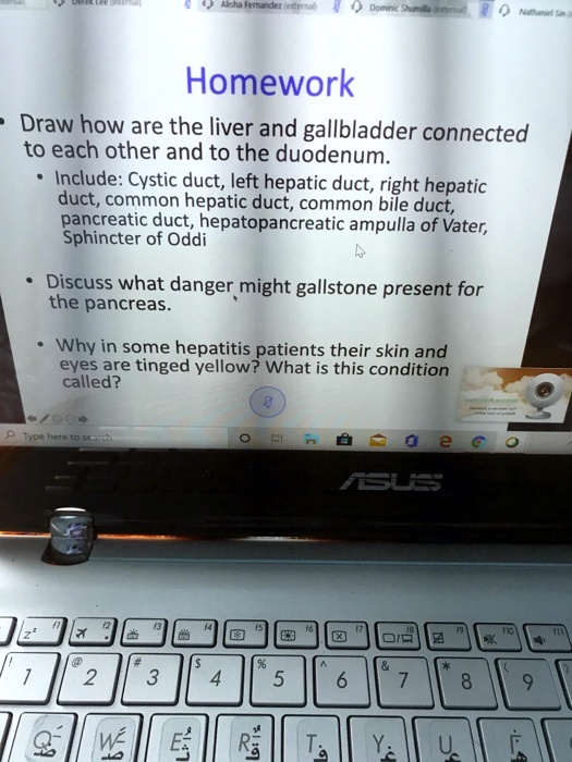 Homework • Draw how are the liver and gallbladder connected to each ...