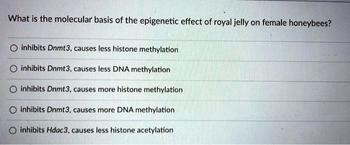 what is the molecular basis of the epigenetic effect of royal jelly on ...