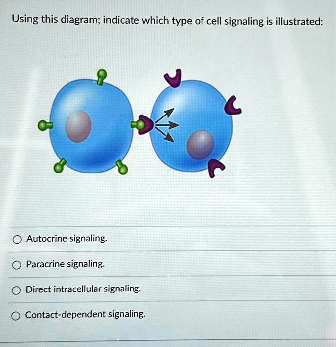 SOLVED: Using this diagram; indicate which type of cell signaling is illustrated: O Autocrine ...