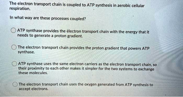 SOLVED: The electron transport chain is coupled to ATP synthesis in ...