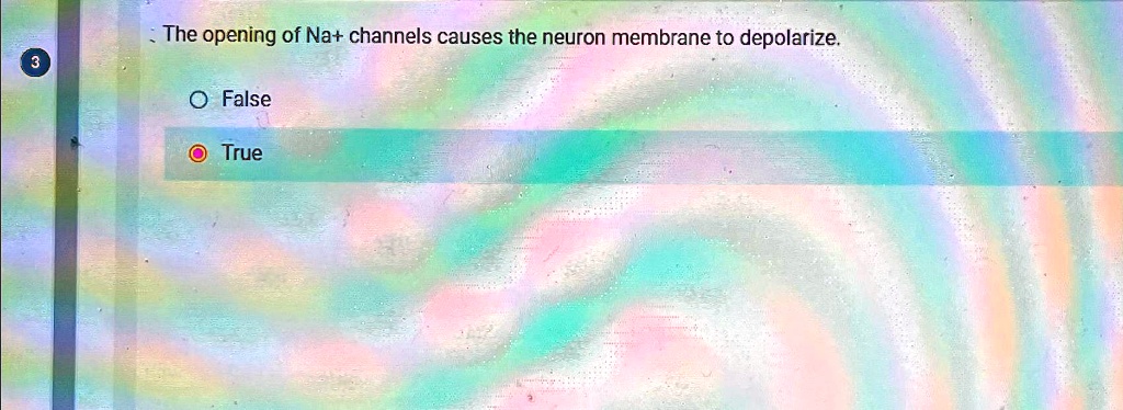 The opening of Na+ channels causes the neuron membrane to...