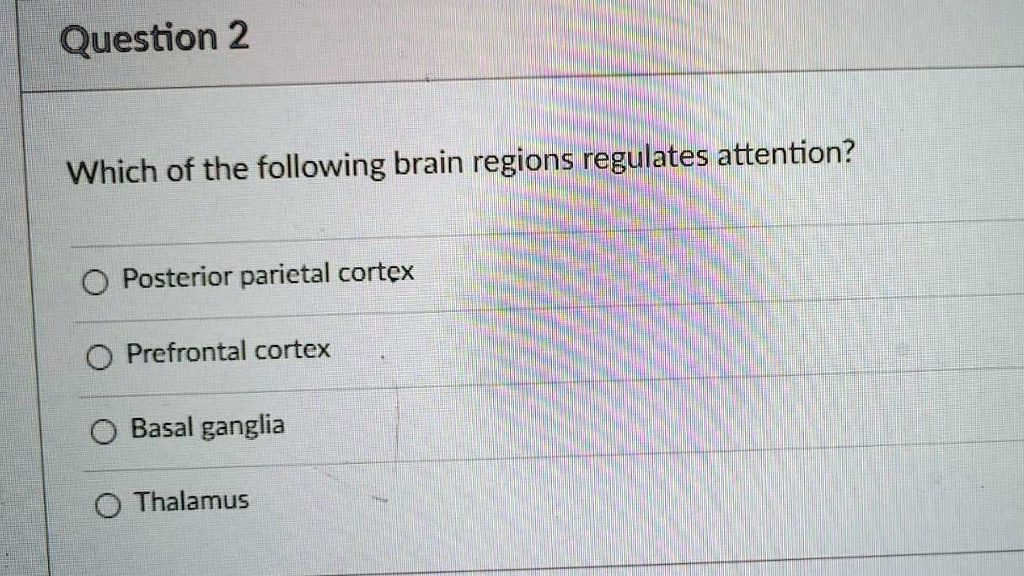 SOLVED: Which of the following brain regions regulates attention? A ...
