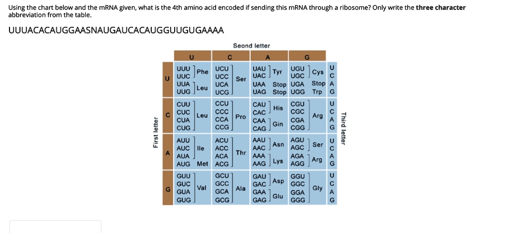SOLVED: Using the chart below and the mRNA given, what is the Ath amino ...