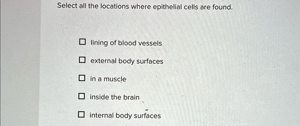 select all the locations where epithelial cells are found lining of ...