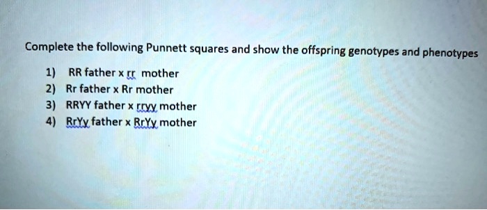 SOLVED: Complete the following Punnett squares and show the offspring ...