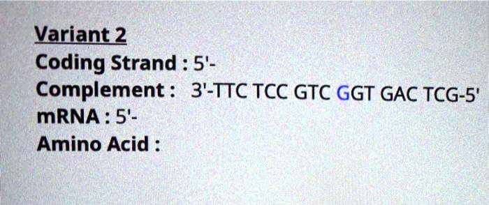 Solved Variant 2 Coding Strand 5 Complement 3 Ttc Tcc Gtc Ggt