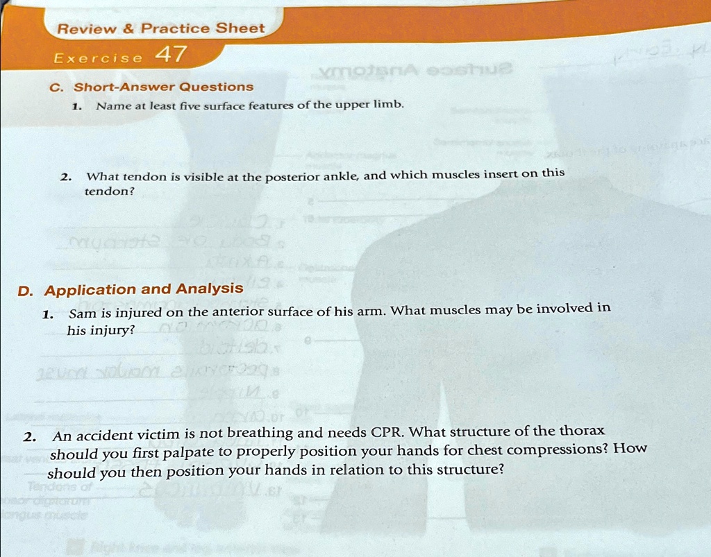 Review Practice Sheet Exercise 47 C. Short-Answer Questions 1. Name at ...