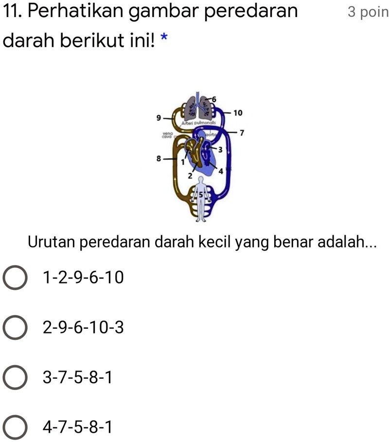 SOLVED: Perhatikan gambar peredaran darah berikut ini! Urutan peredaran ... SOLVED: Perhatikan gambar peredaran darah berikut ini! Urutan peredaran ...
