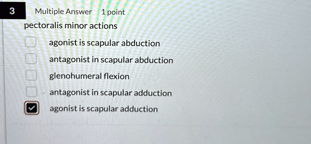[GET ANSWER] multiple answer 1 point pectoralis minor actions agonist ...