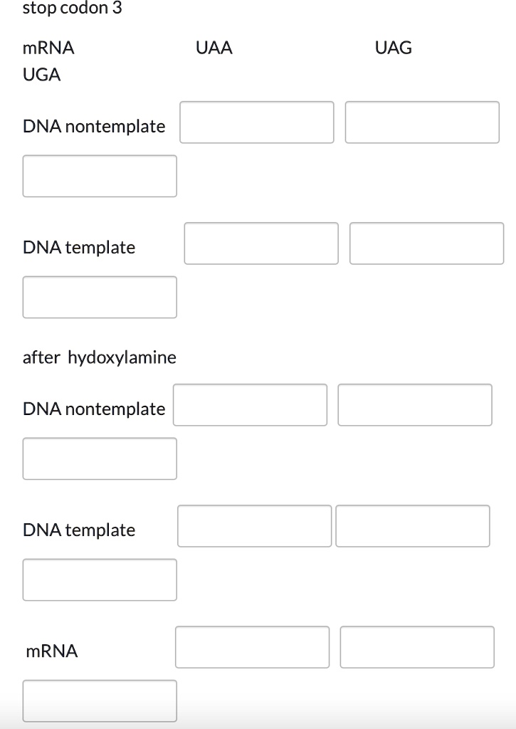 SOLVED: stop codon 3 mRNA UGA UAA UAG DNA nontemplate DNA template ...