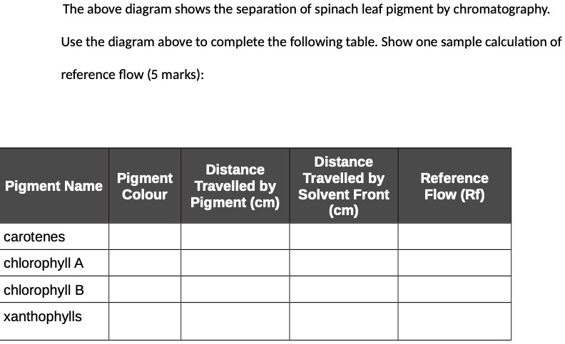SOLVED: 'question highlighted please The above diagram shows the separation of spinach leaf ...