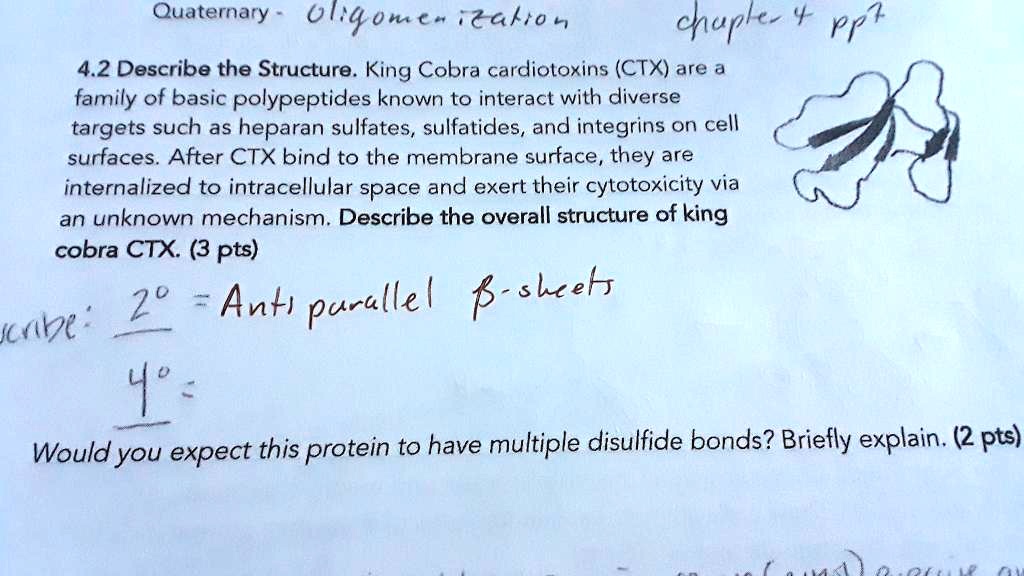 SOLVED: Quaternary O1ry om+ € " iakf0 cvple 41 rp? 4.2 Describe the ...