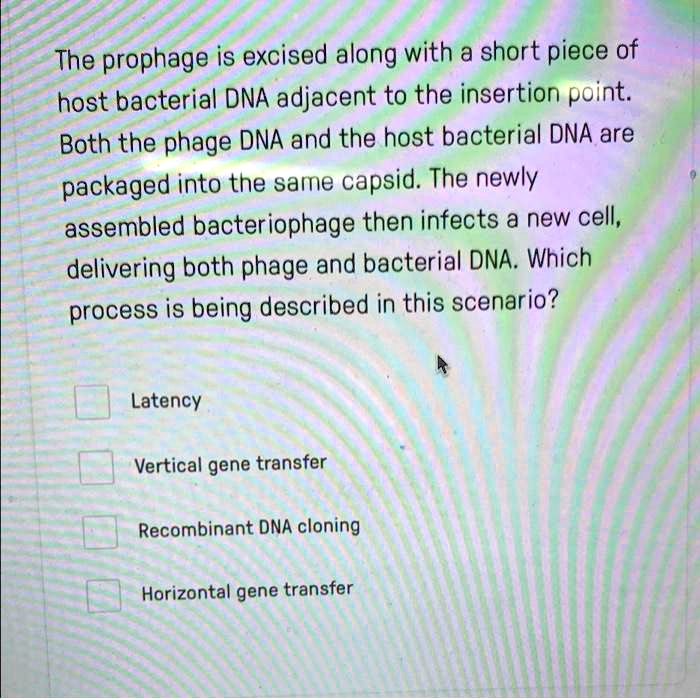 SOLVED: The prophage is excised along with a short piece of host bacterial DNA adjacent to the ...