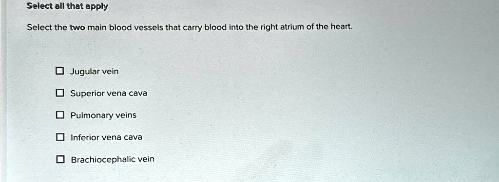 Select all that apply Select the two main blood vessels that carry ...