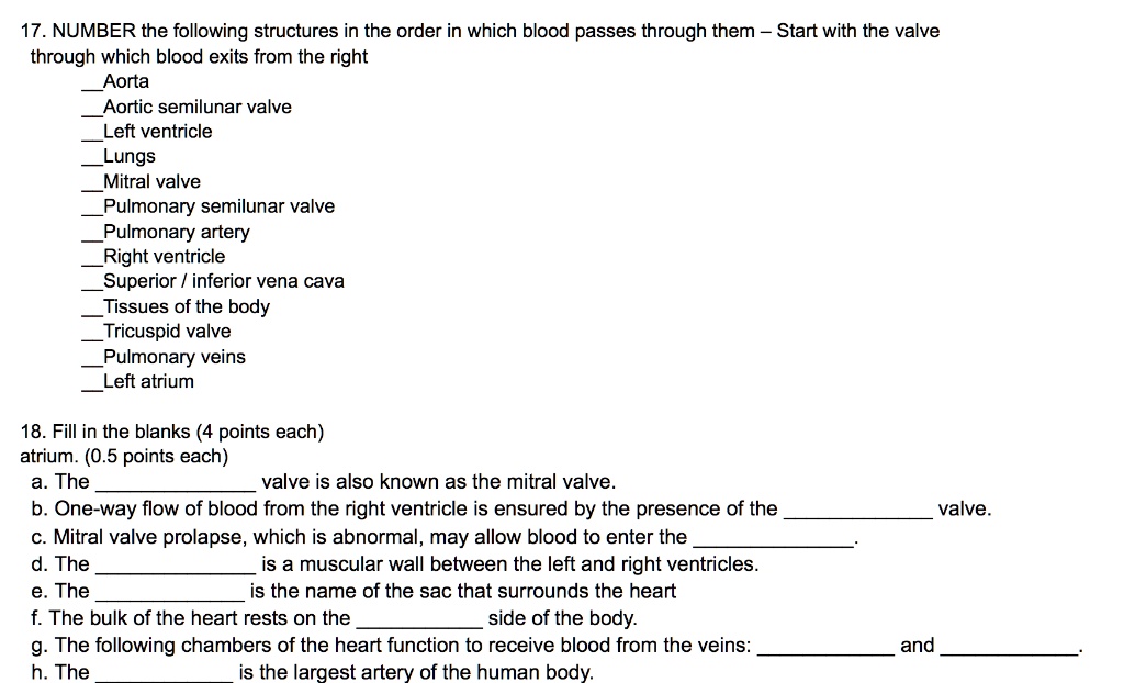 SOLVED: 17. NUMBER the following structures in the order in which blood ...