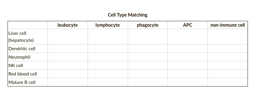 cell type matching lymphocyte phagocyte leukocyte apc non immune cell ...