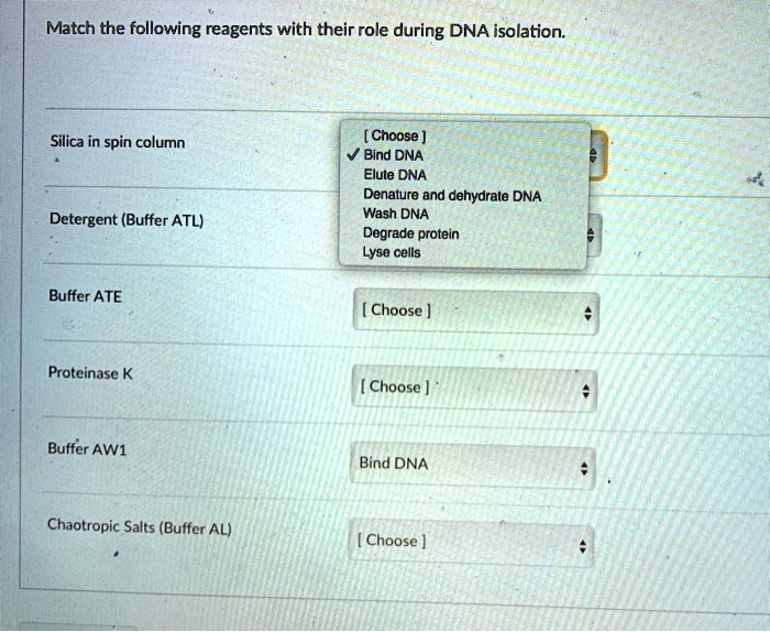 SOLVED: Match the following reagents with their role during DNA ...