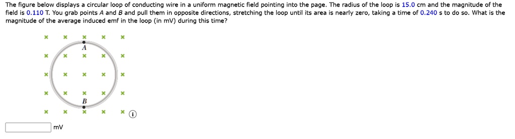 the figure below displays circular loop of conducting wire in a uniform magnetic field pointing ...