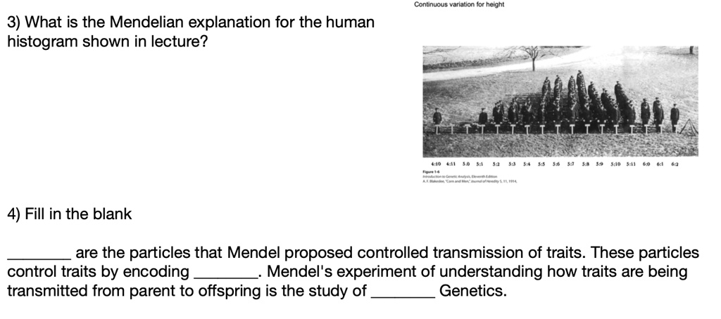 Continuous variation for height 3) What is the Mendelian explanation ...