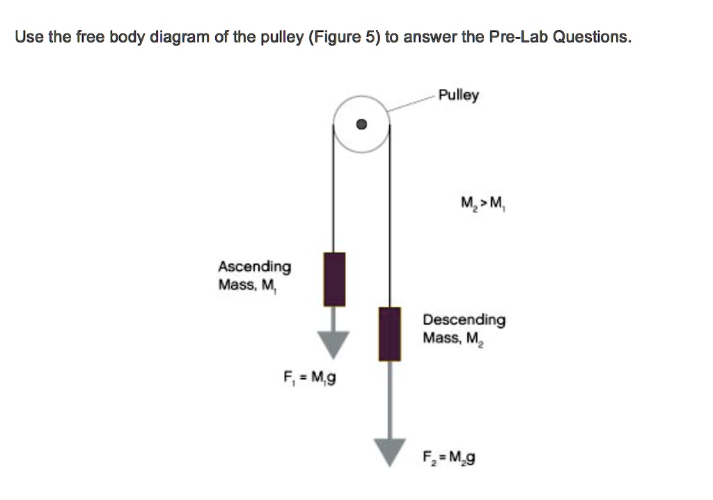 SOLVED: Use the free body diagram of the pulley (Figure 5) to answer ...