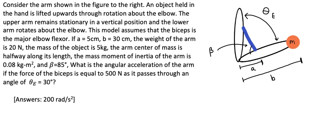 Consider the arm shown in the figure to the right. An object held in ...