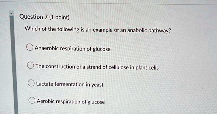 SOLVED: Question 7(1 point) Which of the following is an example of an ...