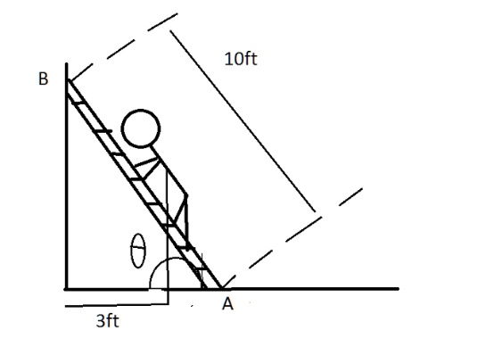 SOLVED: A man stands on the ladder in the position shown. The ladder ...