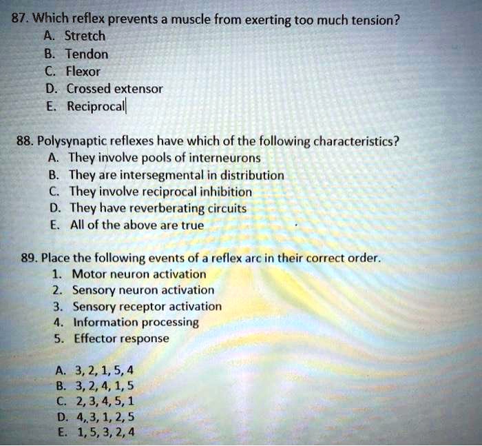 SOLVED: help 87.Which reflex prevents a muscle from exerting too much tension? A.Stretch B ...