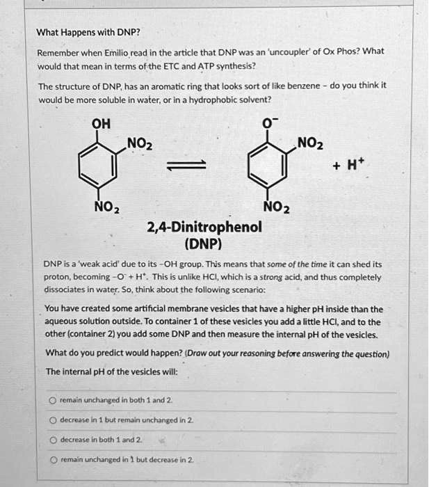 SOLVED: What Happens with DNP? Remember when Emilio read in the article ...