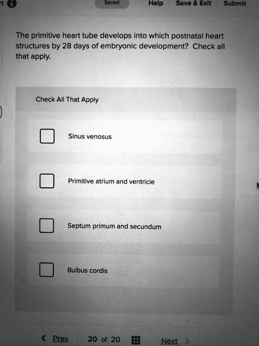 The primitive heart tube develops into which postnatal heart structures ...