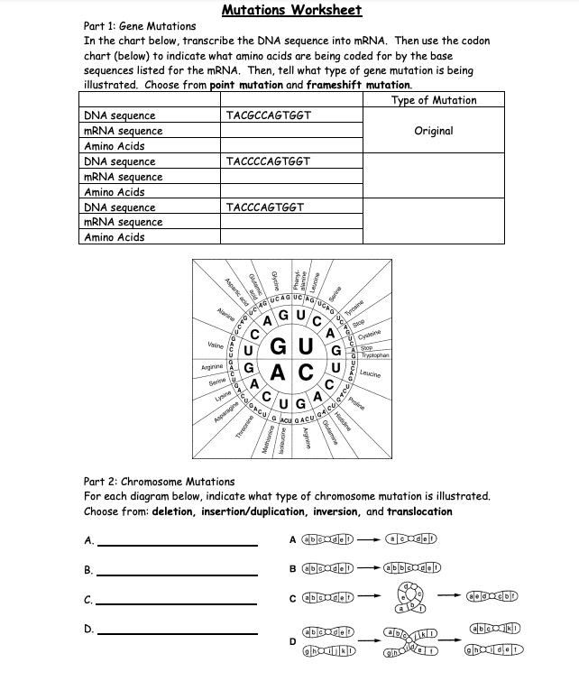 Part 1: Gene Mutations Mutations Worksheet In the chart below ...