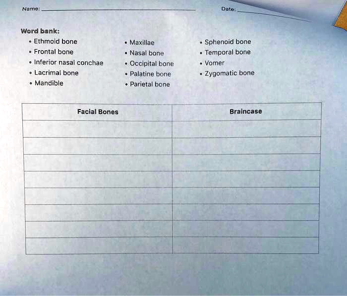 SOLVED: Name= Date Word bank: Ethmoid bone Frontal bone Inferior nasal ...