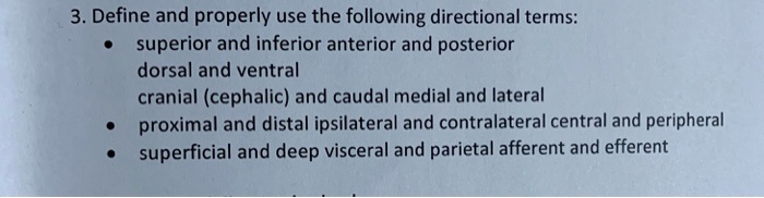 SOLVED: 3. Define and properly use the following directional terms ...