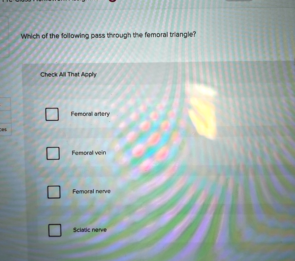 Which of the following pass through the femoral triangle? Check All ...