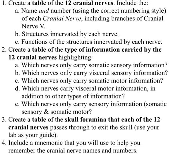 Cranial Nerves Anatomy Names Functions And Mnemonics Cranial Nerves ...