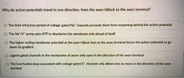 why do action potentials travel in one direction from the axon hillock ...