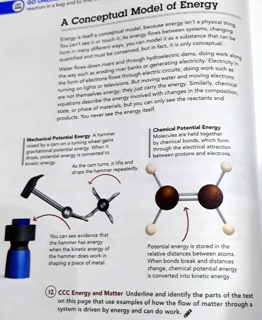 SOLVED: Underline and identify the parts of the text on this page that ...