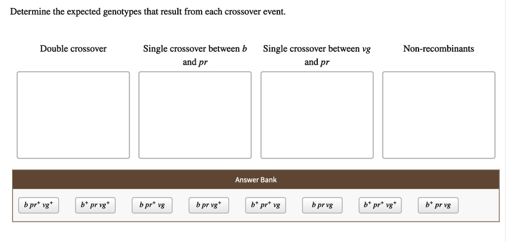 SOLVED: Determine the expected genotypes that result from each ...