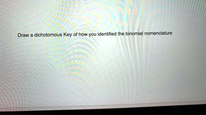 SOLVED: Draw a dichotomous Key of how you identified the binomial ...