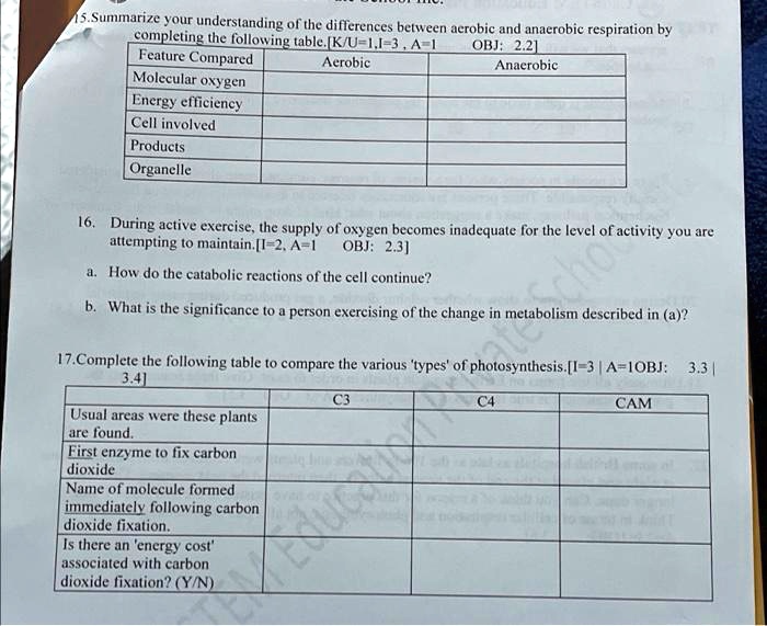 5. Summarize your understanding of the differences between aerobic and ...
