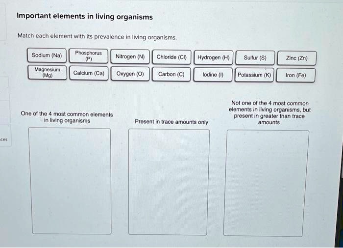Important elements in living organisms Match each element with its prevalence in living ...