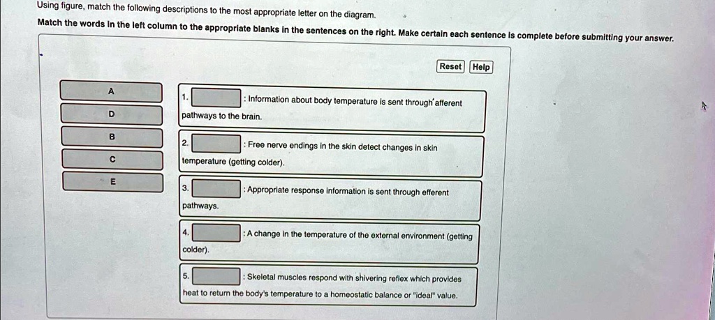 Using figure, match the following descriptions to the most appropriate ...