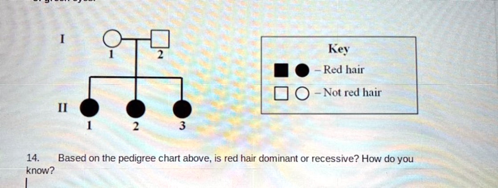 SOLVED: 'Based on the pedigree chart above, is red hair dominant or ...