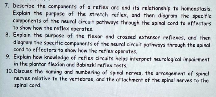 7. Describe the components of a reflex arc and its relationship to ...