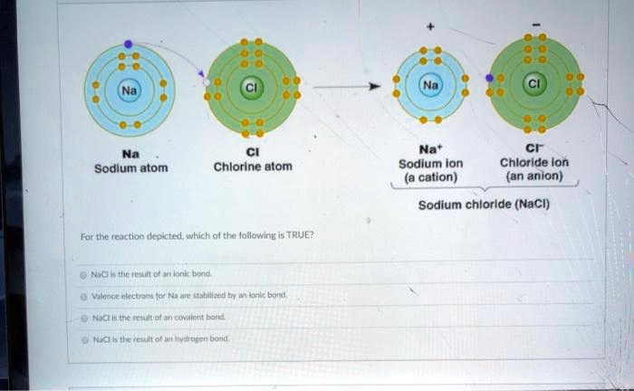 SOLVED: Na Na* cr Sodium atom Chlorine atom Sodium ion (a cation ...